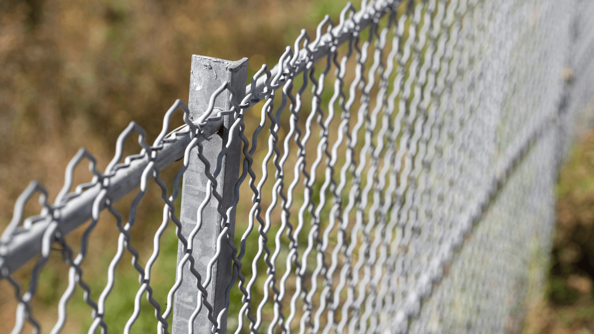 Buyer’s Guide - Fence Gate Planning & Installation Guide